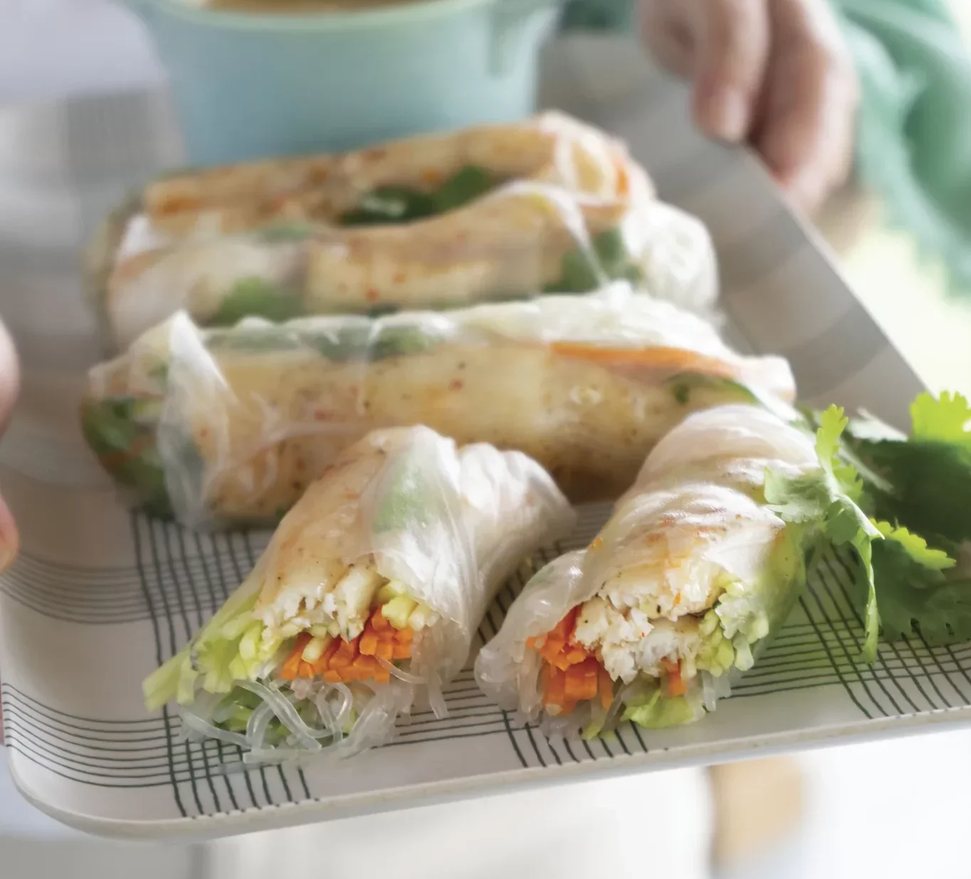 Catfish Summer Rolls – TCI